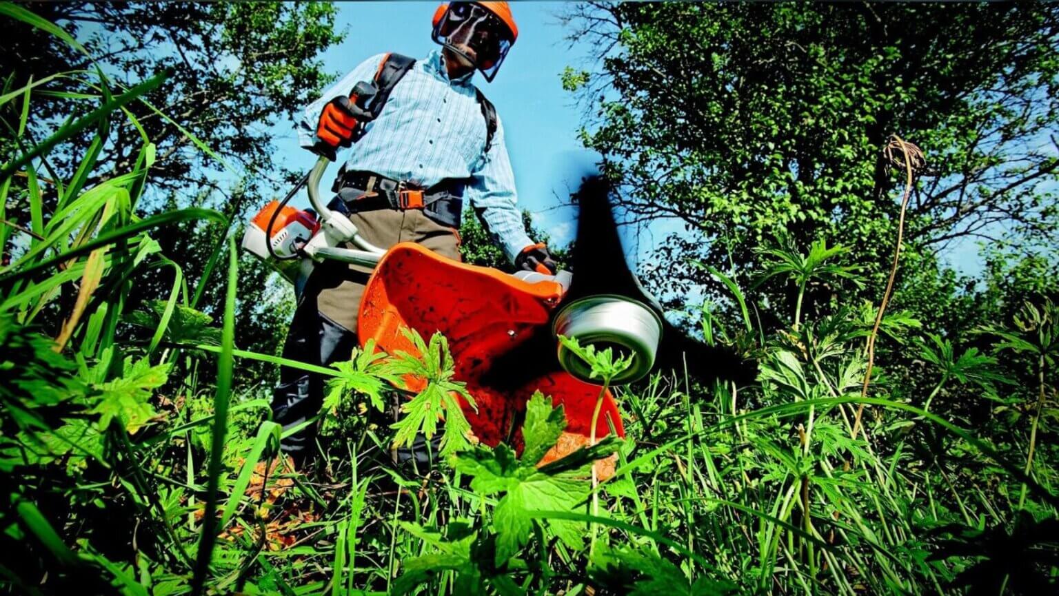 Trimmers vs. Traditional Tools: Why They Matter for Your Yard - Housereal
